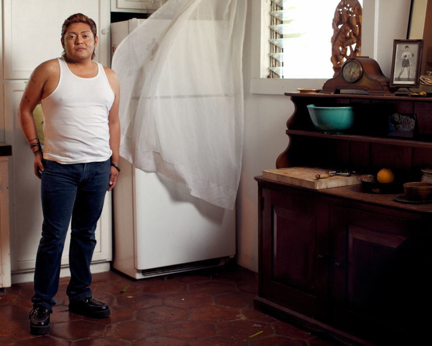 Carnivores & Destructors – aCurator